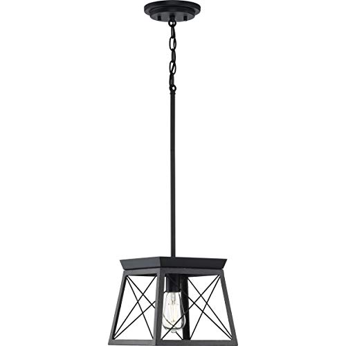 Progress Lighting P500041-031 Briarwood Pendants, Ceruse Black 9.00x10.00x10.00