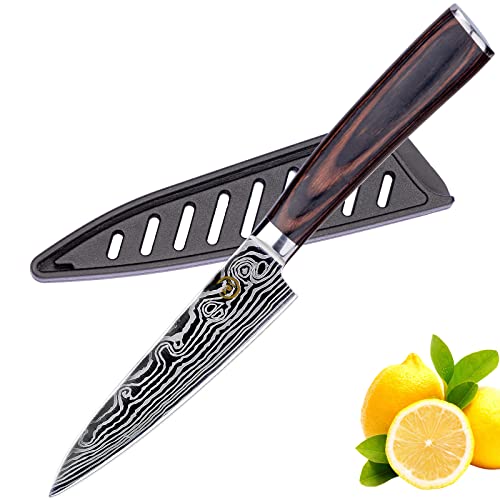 Utility Knife 5 inch - Kitchen Utility Knife Forged from Stainless Steel 5Cr15Mov(HRC56), Razor Sharp Paring Knife with Ergonomic Handle for Home, Multipurpose Kitchen Utility Knife