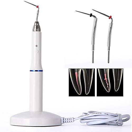 Dental Obturation Pen with Charging Base, Gutta Percha Obturation System Endo Heated Pen with 2 Tips, 110V, US Plug