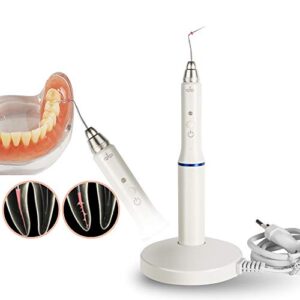 Dental Obturation Pen with Charging Base, Gutta Percha Obturation System Endo Heated Pen with 2 Tips, 110V, US Plug