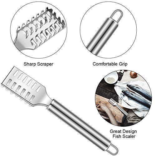 4 Pieces Stainless Steel Fish Scale Remover Cleaner Kitchen Fish Scaler Fish Skin Graters Cleaning Peeler Scaler Scraper with Bottle Opener for Kitchen Fish Cleaning Tools