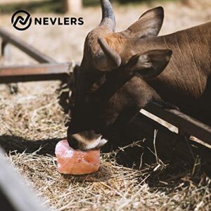 Nevlers 3 Pack Himalayan Salt Lick on Ropes for Animals - All Natural Pure Mineral Block - Himalayan Salt Block for Deer , Salt Block for Horses , Cows, and Other Livestock - 4.5-6 lbs Each