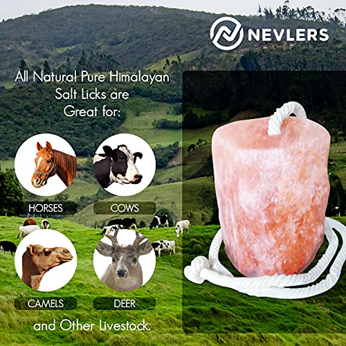 Nevlers 3 Pack Himalayan Salt Lick on Ropes for Animals - All Natural Pure Mineral Block - Himalayan Salt Block for Deer , Salt Block for Horses , Cows, and Other Livestock - 4.5-6 lbs Each