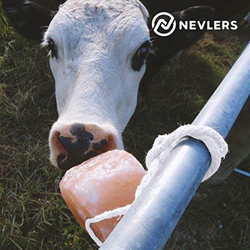 Nevlers 3 Pack Himalayan Salt Lick on Ropes for Animals - All Natural Pure Mineral Block - Himalayan Salt Block for Deer , Salt Block for Horses , Cows, and Other Livestock - 4.5-6 lbs Each