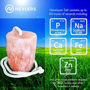 Nevlers 3 Pack Himalayan Salt Lick on Ropes for Animals - All Natural Pure Mineral Block - Himalayan Salt Block for Deer , Salt Block for Horses , Cows, and Other Livestock - 4.5-6 lbs Each