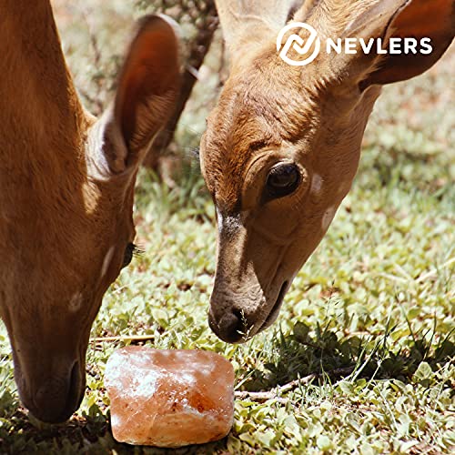 Nevlers 3 Pack Himalayan Salt Lick on Ropes for Animals - All Natural Pure Mineral Block - Himalayan Salt Block for Deer , Salt Block for Horses , Cows, and Other Livestock - 4.5-6 lbs Each