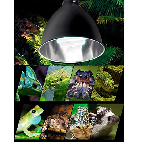 Hamiledyi Reptile Light Fixture 5.5 Inch Deep Dome Lamp Cap Lamp Fixture Optical Reflection Cover for Reptile Glass Terrariums