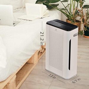 Airthereal Bundle | APH260 Air Purifier and 1-pack Medical Grade H13 True HEPA Spare Replacement Filter, Pure Morning