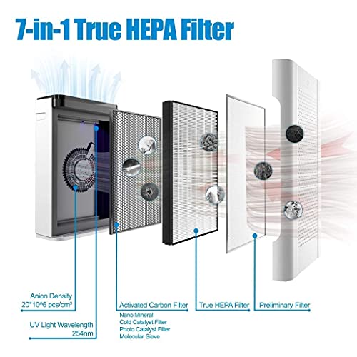 Airthereal Bundle | APH260 Air Purifier and 1-pack Medical Grade H13 True HEPA Spare Replacement Filter, Pure Morning