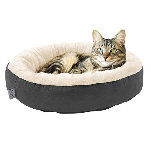 Love's cabin Round Donut Cat and Dog Cushion Bed, 20in Pet Bed for Cats or Small Dogs, Anti-Slip & Water-Resistant Bottom, Super Soft Durable Fabric Pet beds, Washable Luxury Cat & Dog Bed Dark Grey