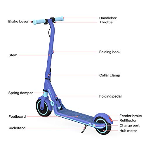 Segway Ninebot ZING E8 Kids Electric Kick Scooter for Boys and Girls,Lightweight and Foldable, New Electric Boost Riding Mode, Blue