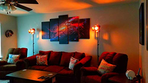 YUANKANG Vintage Industrial Black Retro Tripod Adjustable Floor lamp Parking Light,5 Meter Cable with Foot Switch Parking Light Tripod gooseneck for Living Room Bedroom Office bar Lighting (Pack of 2)