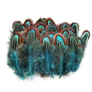 50 pcs natural pheasant plumage feathers 2-3 inches plumage feathers for sewing crafts clothing decorating accessories -blue