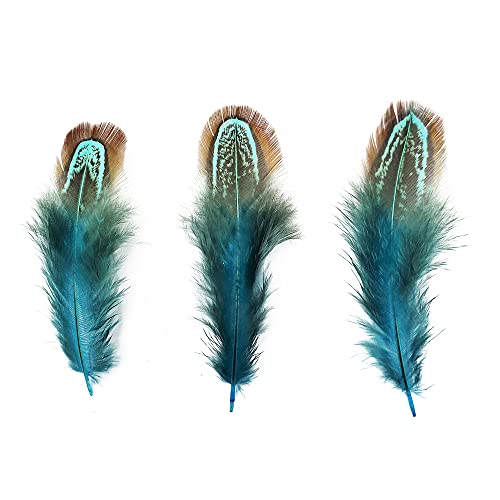 50 pcs Natural Pheasant Plumage Feathers 2-3 Inches Plumage Feathers for Sewing Crafts Clothing Decorating Accessories -Blue