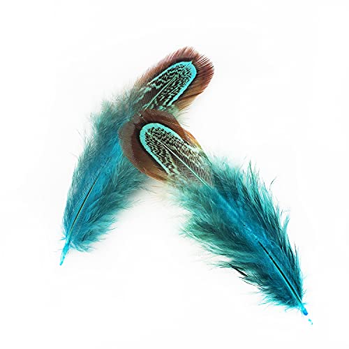 50 pcs Natural Pheasant Plumage Feathers 2-3 Inches Plumage Feathers for Sewing Crafts Clothing Decorating Accessories -Blue