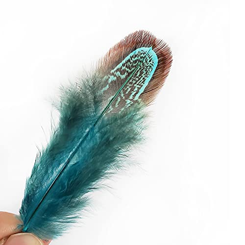 50 pcs Natural Pheasant Plumage Feathers 2-3 Inches Plumage Feathers for Sewing Crafts Clothing Decorating Accessories -Blue