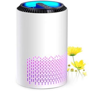 Air Purifier