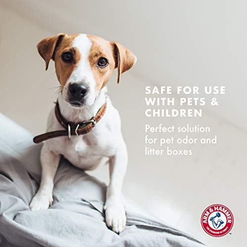 Arm & Hammer for Pets Air Care for Pet Odor Elimination | Arm & Hammer Air Care Pet Deodorizer with Baking Soda for Pet Households, Lavender Vanilla Reed Diffuser