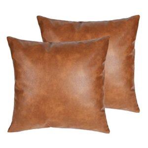 SEEKSEE Brown Faux Leather Accent Throw Pillow Cover 18x18 inch, 2-Pack Modern Country Farmhouse Style Pillowcase for Bedroom Living Room Sofa