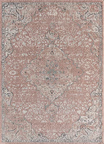 Rugs America Hailey Collection Vintage Transitional Area Rug - Ideal for Living Space, Living Room, Dining Room, Bedroom and Many More (6' Round, Pink Amaranth)