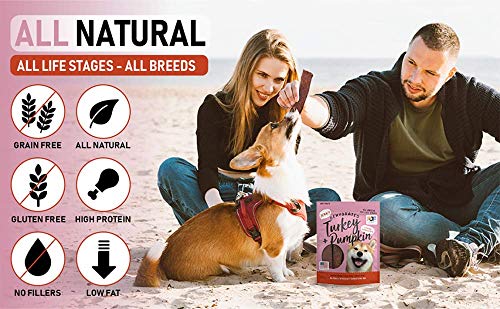 Pet Jerky Factory Premium Dog Treats | 100% Human Grade | USA Made | Grain Free | Turkey and Pumpkin, 5 oz.