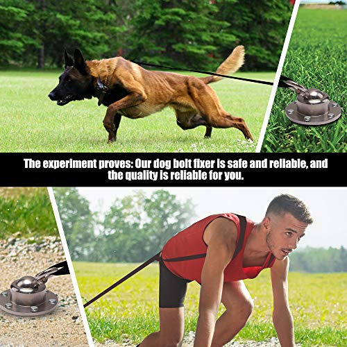 Anipaw 360° Swivel Dog Tie Out Stake, Heavy Stainless Steel Dog Anchor, Yard Stake Rust Proof Dog Tether Hold, 1500 Lbs of Pull Force, Great for Outside Yard Camping Lawn, Suit for Any Kind of Breeds