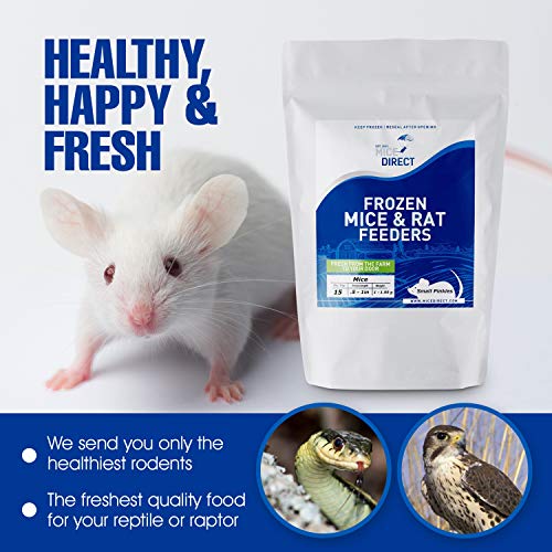 MiceDirect Frozen Rat Combo Pack of 50 Pinky & Fuzzie Feeder Rats - 25 Rat Pinkies & 25 Rat Fuzzies - Food for Corn Snakes, Ball Pythons, Lizards and Other Pet Reptiles-Freshest Snake Feed Supplies