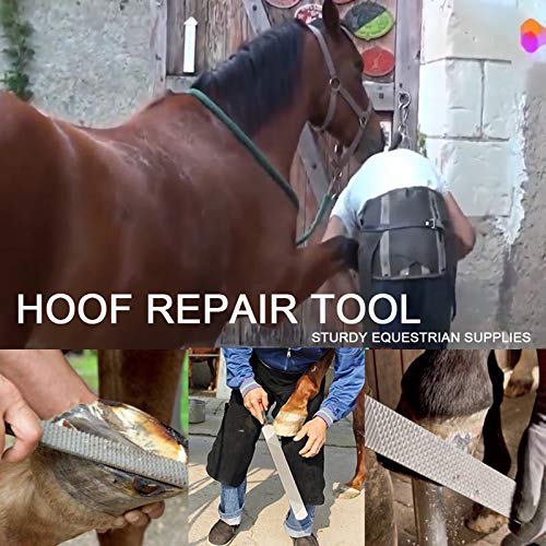 UJD Farrier Tools Professional Farrier Tool Kits Hoof Rasp Hoof Nippers Hoof Knife Horses Hoof Trimmers Tools Suitable for Hoof Trimming for Horses/Donkeys Rasp Hoof Cutter Set