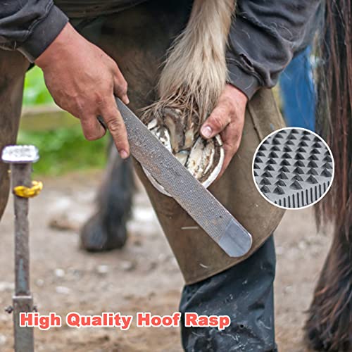 UJD Farrier Tools Professional Farrier Tool Kits Hoof Rasp Hoof Nippers Hoof Knife Horses Hoof Trimmers Tools Suitable for Hoof Trimming for Horses/Donkeys Rasp Hoof Cutter Set