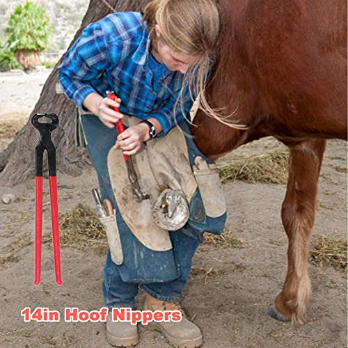 UJD Farrier Tools Professional Farrier Tool Kits Hoof Rasp Hoof Nippers Hoof Knife Horses Hoof Trimmers Tools Suitable for Hoof Trimming for Horses/Donkeys Rasp Hoof Cutter Set