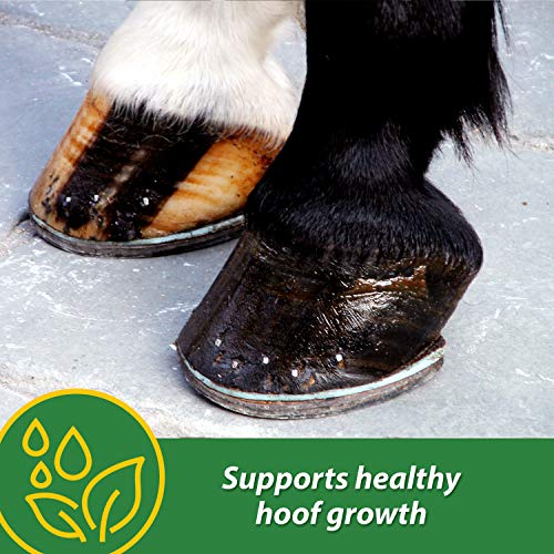 Farnam HB 15 Hoof Supplement, Supports Healthy hoof Growth 7 Pound, 112 Day Supply