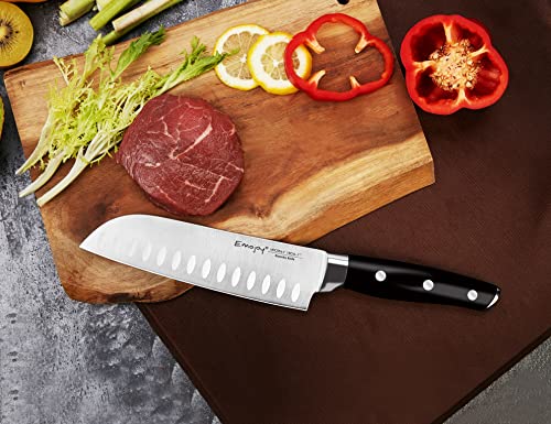 Emojoy 22-Piece Kitchen Knife Set with Block, Include 2-pair Chef Knives, Carving Fork and Sharpener (Dual-Chef Sets)