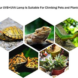 YXW UVA+UVB Bulbs, Heat and Light for Reptiles and Amphibian Tanks, Terrariums and Cages | Works with Various Lamp Fixtures