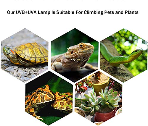 YXW UVA+UVB Bulbs, Heat and Light for Reptiles and Amphibian Tanks, Terrariums and Cages | Works with Various Lamp Fixtures