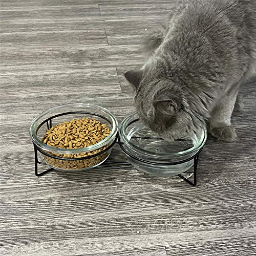 Double Glass Raised Cat or Small Dog Bowls with Metal Stand for Pet Food and Water Dishes , 20 Ounces