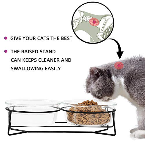 Double Glass Raised Cat or Small Dog Bowls with Metal Stand for Pet Food and Water Dishes , 20 Ounces