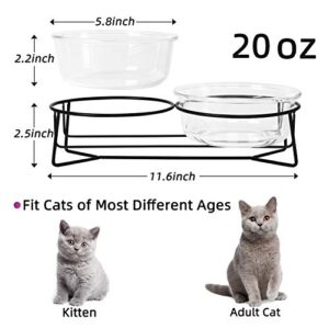 Double Glass Raised Cat or Small Dog Bowls with Metal Stand for Pet Food and Water Dishes , 20 Ounces