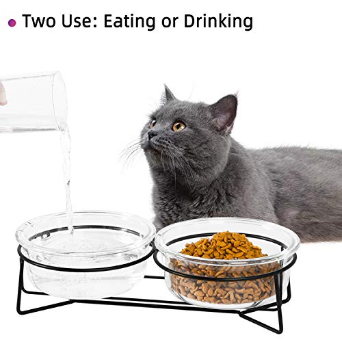 Double Glass Raised Cat or Small Dog Bowls with Metal Stand for Pet Food and Water Dishes , 20 Ounces