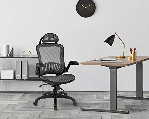 Office Chair Ergonomic Desk Chair Mesh Computer Chair with Lumbar Support Headrest Flip UP Arms Rolling Swivel Adjustable Task Chair for Adults(Grey)