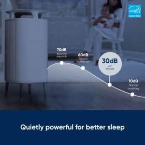 BLUEAIR Air Purifier Large Room, Table Top Air Cleaner for Dust Pet Dander Smoke Mold Pollen Bacteria Virus Allergen, Odor Removal, Home Bedroom Living Room, Alexa, Auto, HEPASilent, DustMagnet 5410i