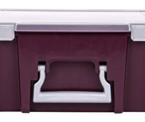 AB Designs 6990ABP Super Satchel Double Deep with Removable Dividers, Stackable Home Storage Organization Container, Plum