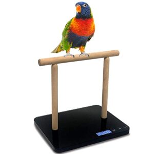 pet scale for birds, birds weight scale for parrots, capacity 44lbs(±0.03oz), high accuracy 1 gram scale, easy install bird training stand and perch, designed for middle size birds below 20kgs