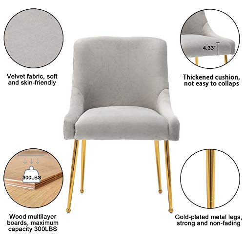 Wahson Velvet Upholstered Dining Chair with Brass Legs, Modern Accent Chair for Dining Room/Living Room/Bedroom, Set of 2, Grey