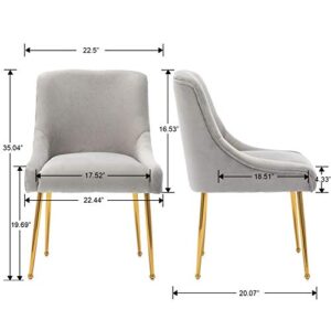 Wahson Velvet Upholstered Dining Chair with Brass Legs, Modern Accent Chair for Dining Room/Living Room/Bedroom, Set of 2, Grey