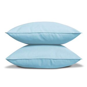 Outdoor Decorative Throw Pillow Pack of 2 Stuffed Throw Pillows UV Resistant Weather Resistant Complete Pillow with Polyester Fill Insert (Solid 18" x 18", Sky Blue)