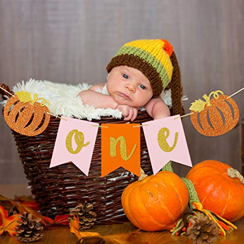 Fall Pumpkin One Banner + Pumpkin One Cake Topper for Thanksgiving Fall Pumpkin Themed 1st Birthday Party Decorations Supplies