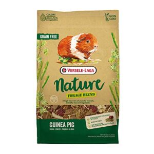 higgins pet food nature forage guinea pig 3lb