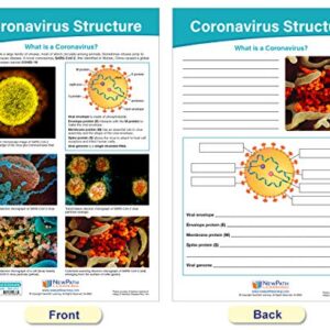 NewPath Learning Coronavirus Structure & Immunity Bulletin Board Chart Set, Set/4 - Laminated, Double-Sided, Full-Color, 12" x 18" (94-7716)