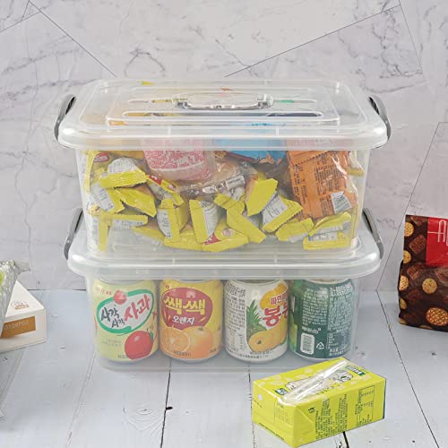 Ortodayes Clear Storage Boxes with Lids, 8 Liter Storage Bins Set of 2