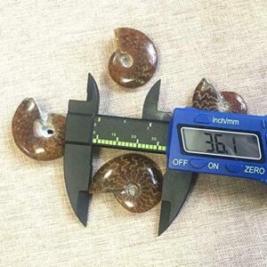 Wixine 2Pcs Natural Iridescent Ammonite Facet Specimen Fossil Madagascar Stone Gem